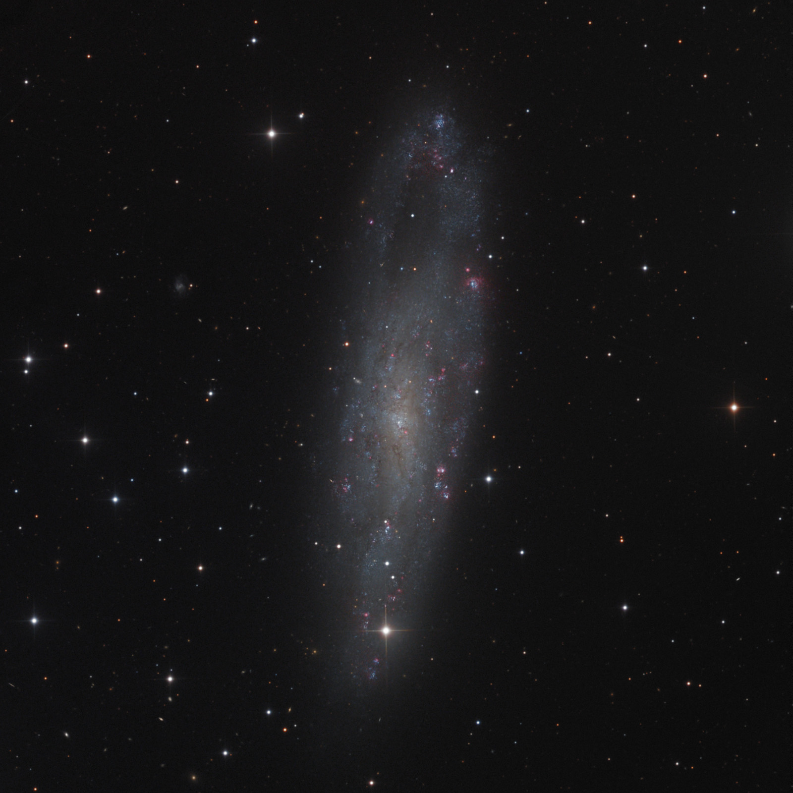 NGC 247 - Experienced Deep Sky Imaging - Cloudy Nights